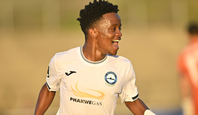 Premier Soccer League - www.psl.co.za - official website