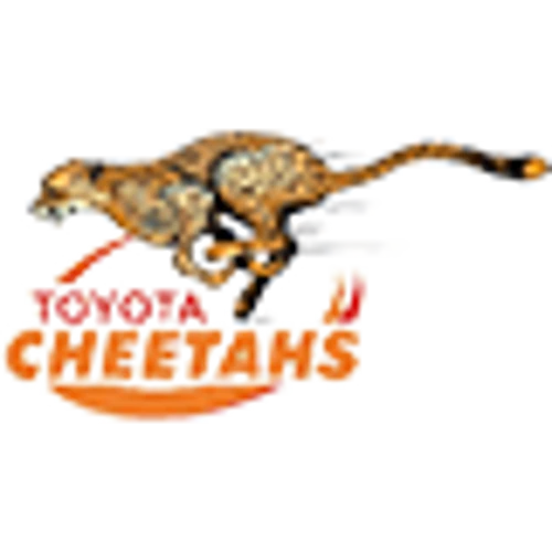 Toyota Cheetahs XV | SuperSport