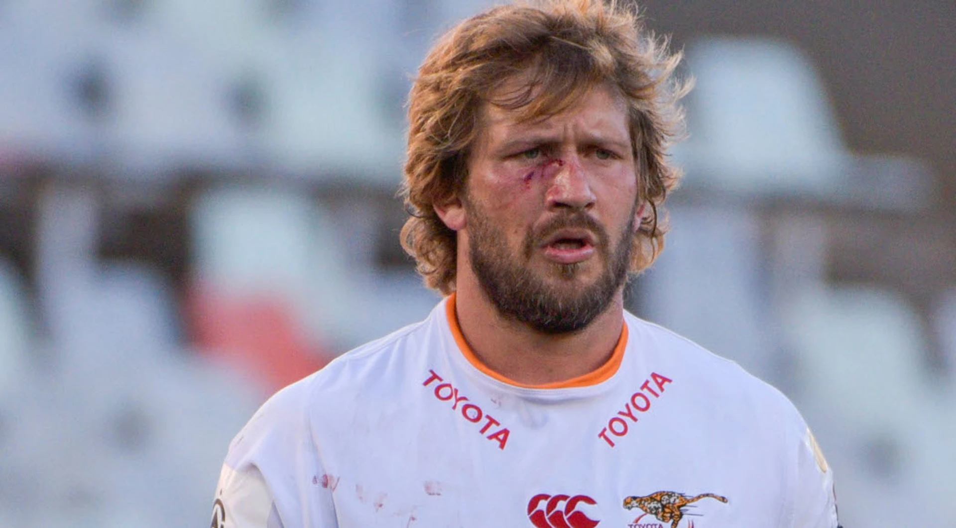 Cheetahs wait on Steyn's fitness a little longer | SuperSport