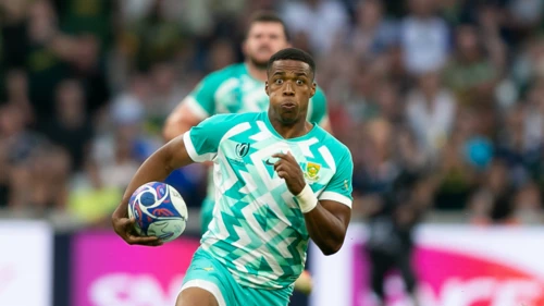 Bold Boks pick all four scrumhalves in match day squad | SuperSport