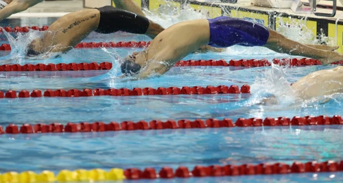 FINA World Cup | Swimming | Toronto | Day 3 | Highlights | SuperSport