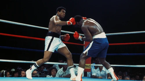 The Greatest, the Baddest and the Best: six undisputed heavyweight ...