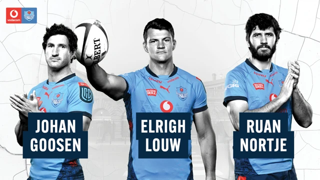 Louw injury layoff still undetermined, Goosen, Nortje back sooner for ...