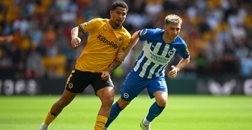 Brighton v Wolves: What the stats say | SuperSport