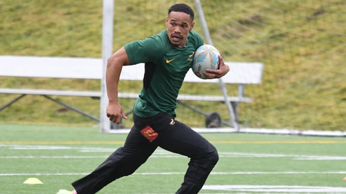 Boland's Hawies names three new faces for Cheetahs clash | SuperSport