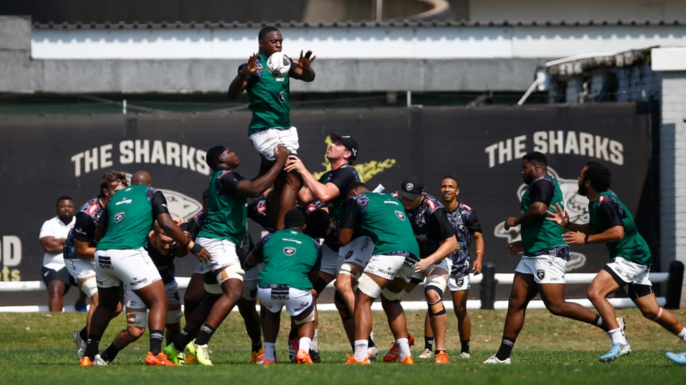 URC players return for Sharks double header against Pumas and Saracens ...