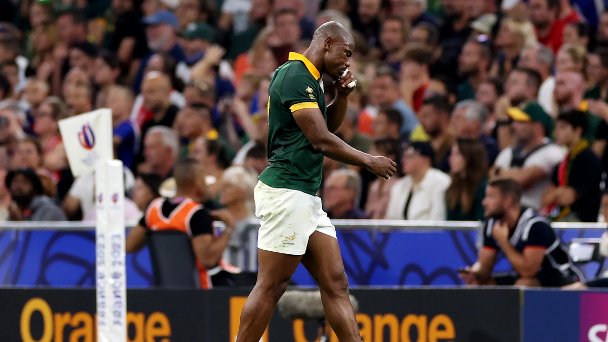 Springboks sweat on Mapimpi injury in wake of Tonga win | SuperSport