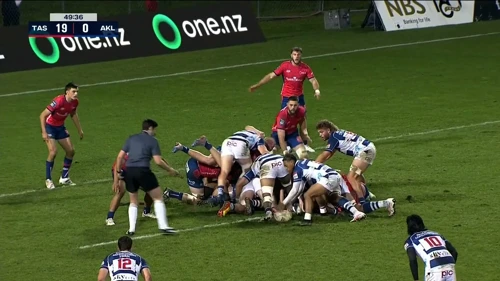 Tasman v Auckland | Match Highlights | New Zealand Domestic Rugby ...