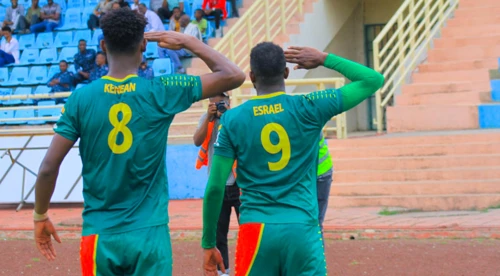 Ethiopian Insurance best Ethio Electric, Mekelakeya top Dire Dawa ...