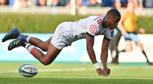 It is Sharks’ responsibility to get Fassi up to speed | SuperSport