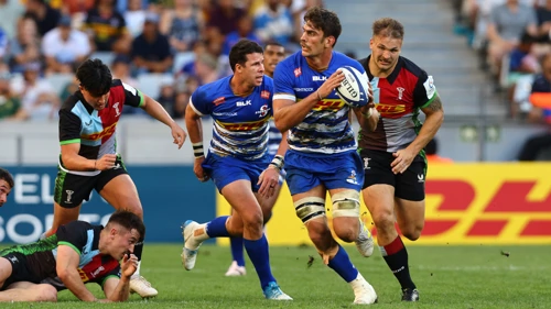 Dixon and Cape rugby share a mission as stellar season ends | SuperSport