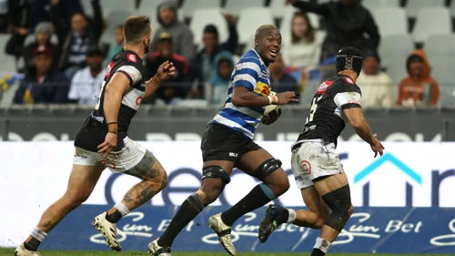 Western Province destroy Sharks to end Currie Cup on a high | SuperSport