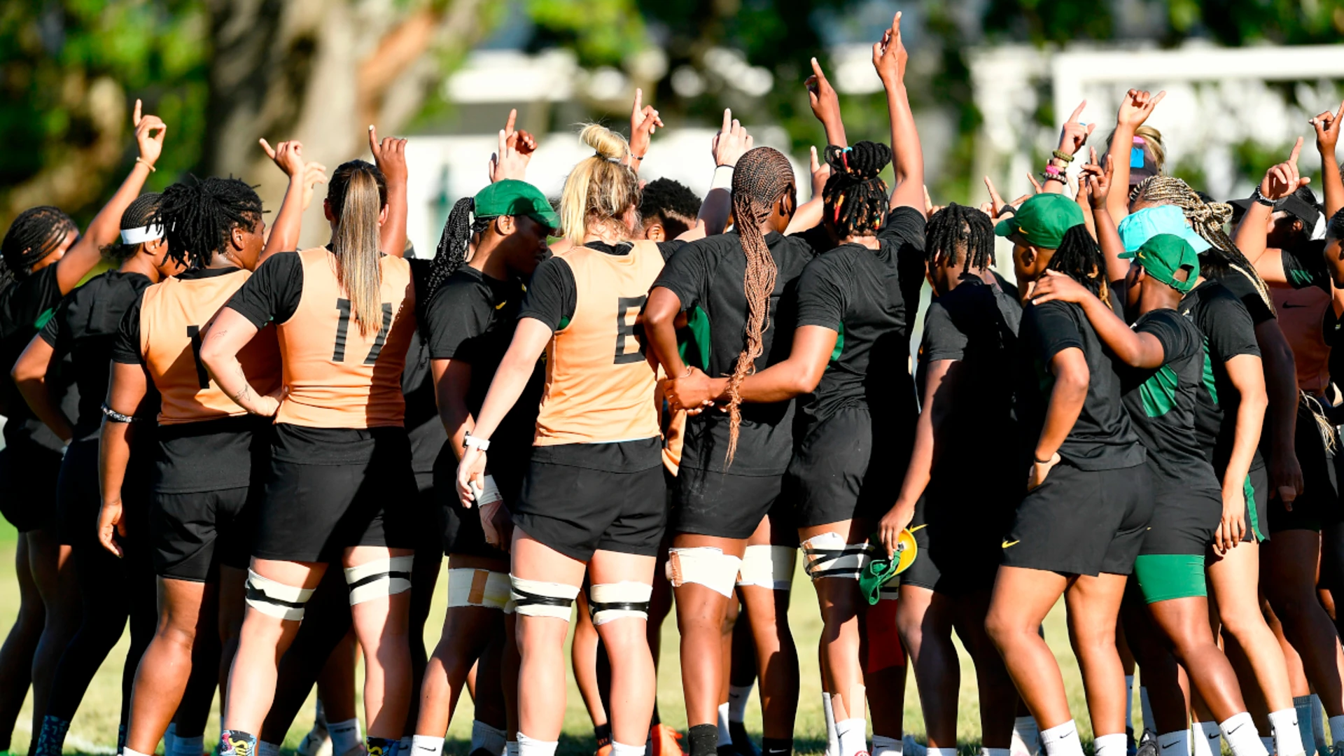 Springbok Women: Come and watch us play! | SuperSport