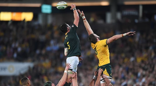 Springboks v Italy - LIVE | SuperSport