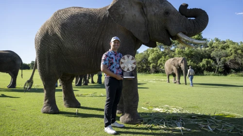 SDC Open | Day 4 Highlights | Sunshine Tour | SuperSport