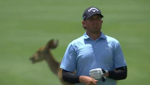 SDC Open | Day 3 Highlights | Sunshine Tour | SuperSport